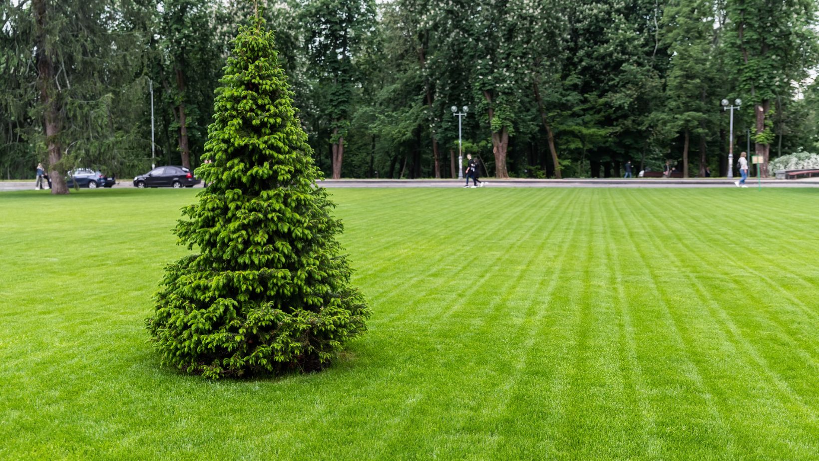Six Sigma: A Path To Operational Excellence | MagnÜron